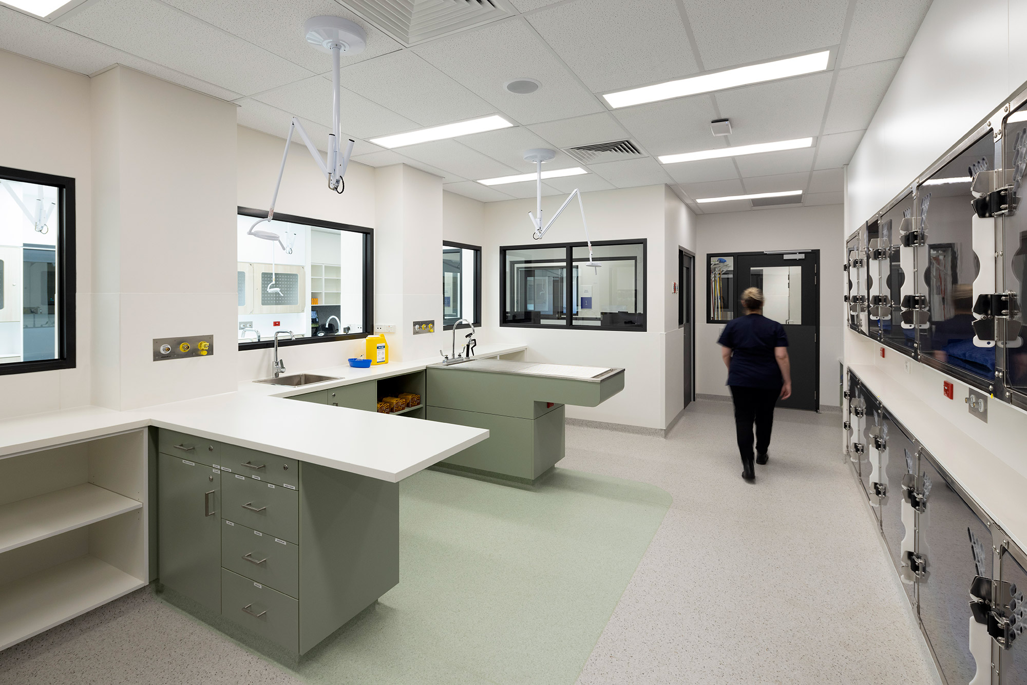 Lort Smith Animal Hospital - Campbellfield | Bldg Eng