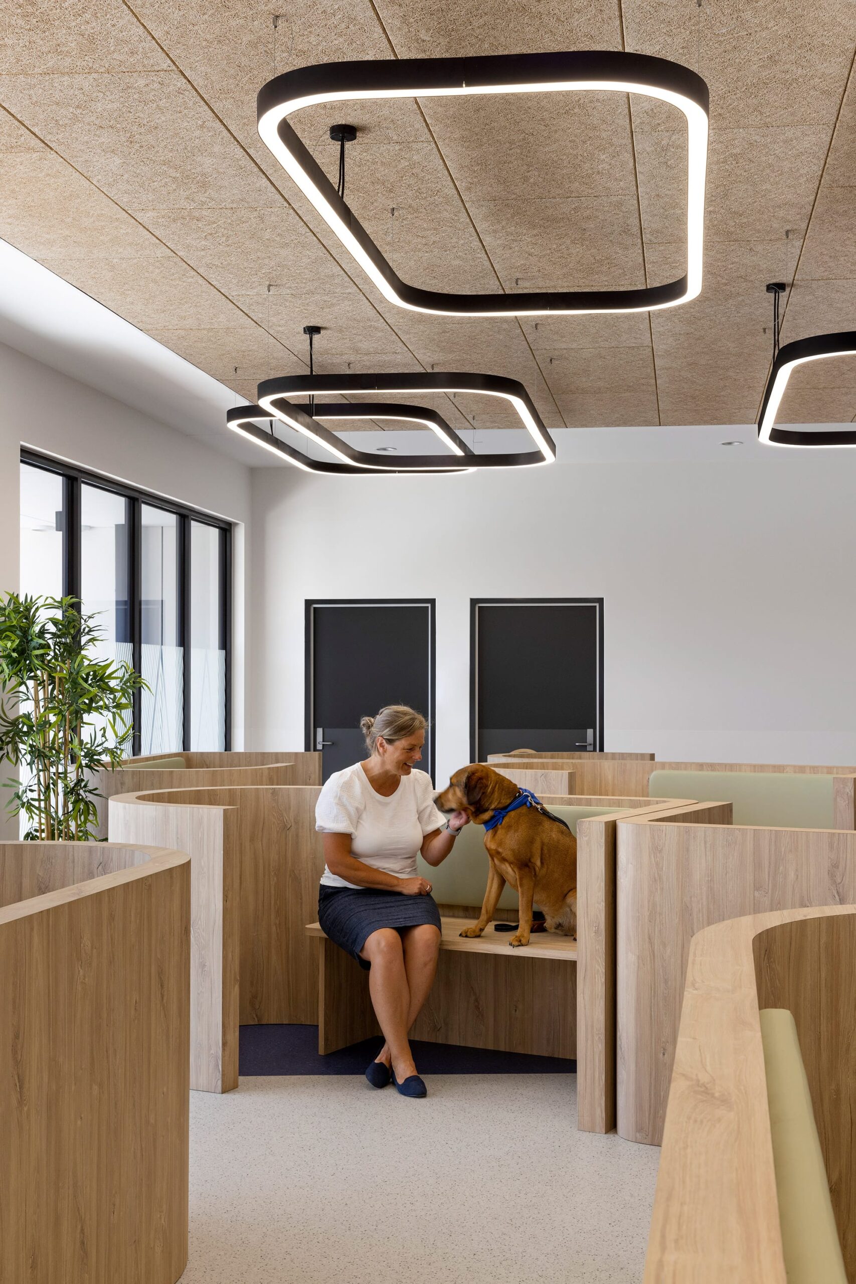 Lort Smith Animal Hospital - Campbellfield | Bldg Eng