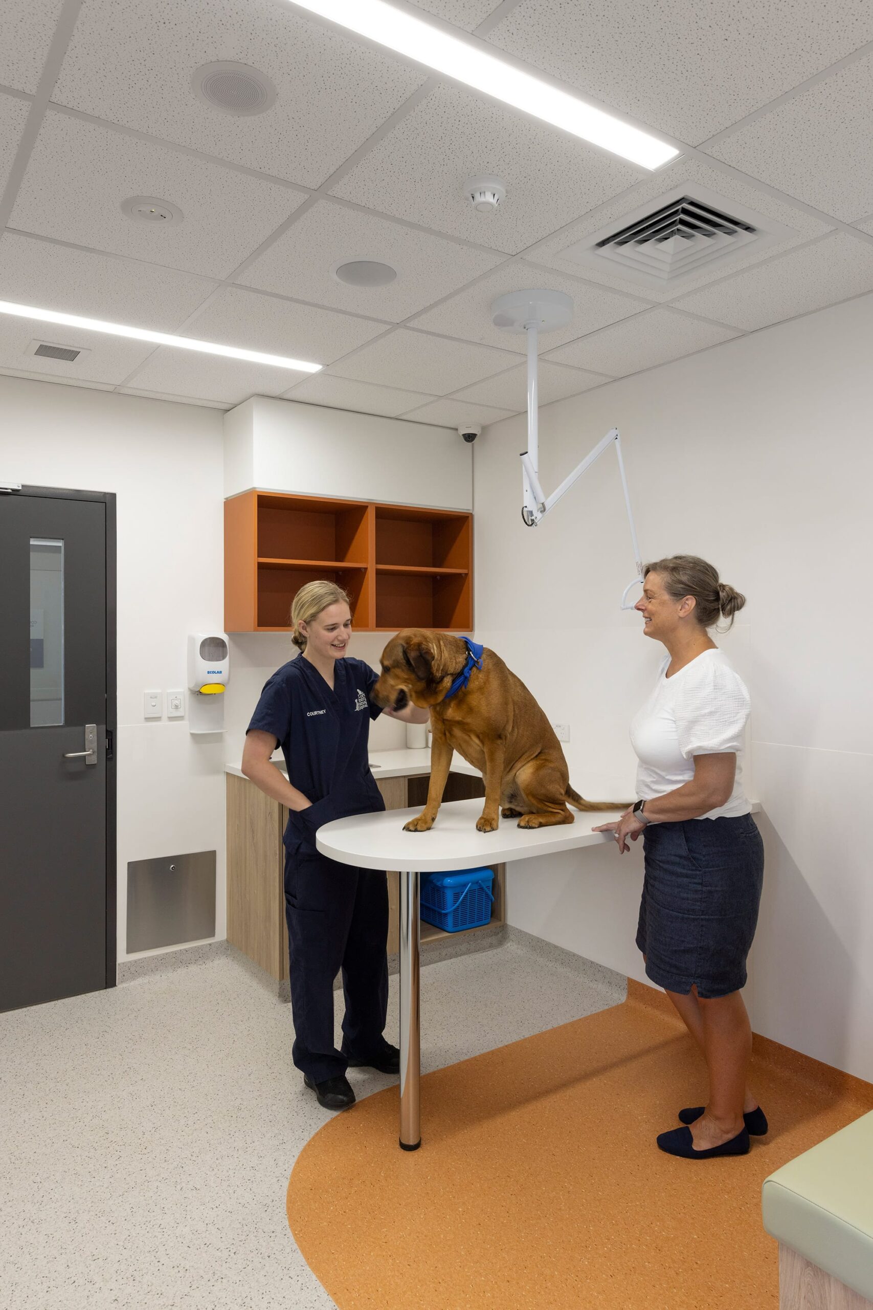 Lort Smith Animal Hospital - Campbellfield | Bldg Eng