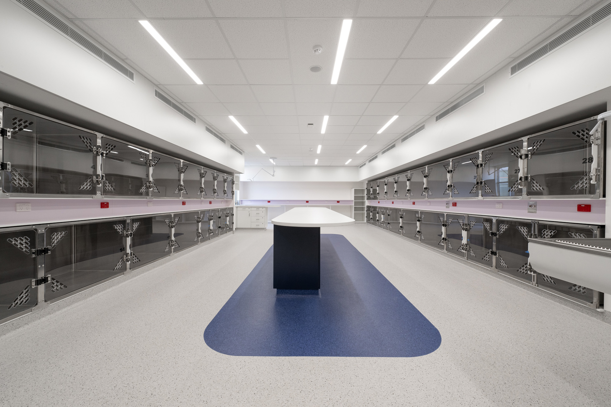 Lort Smith Animal Hospital in North Melbourne reaches milestone with ...