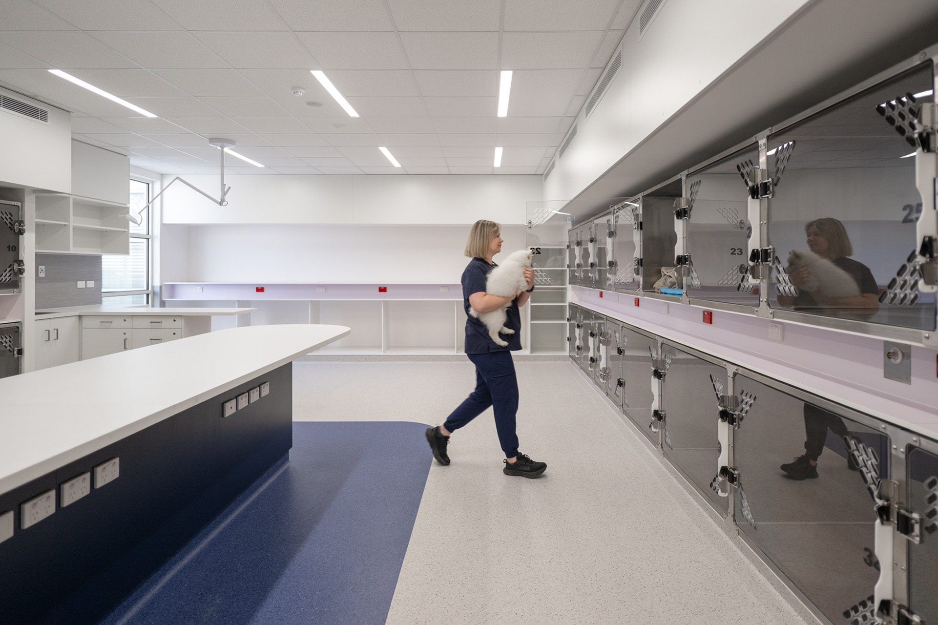 Lort Smith Animal Hospital in North Melbourne reaches milestone with ...