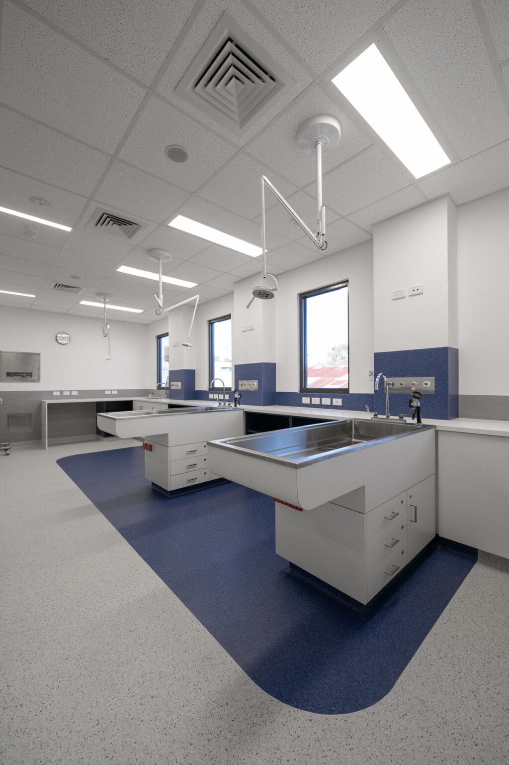 Lort Smith Animal Hospital - North Melbourne | Bldg Eng