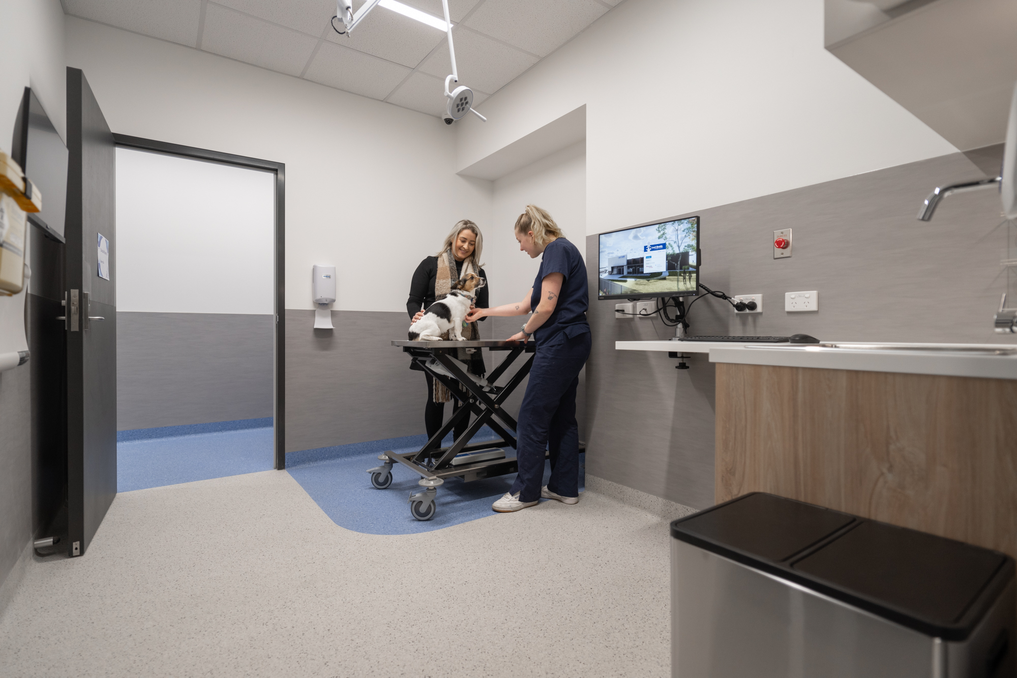 Lort Smith Animal Hospital - North Melbourne | Bldg Eng