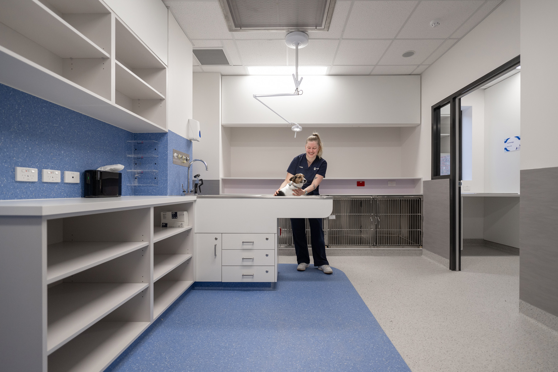 Lort Smith Animal Hospital - North Melbourne | Bldg Eng