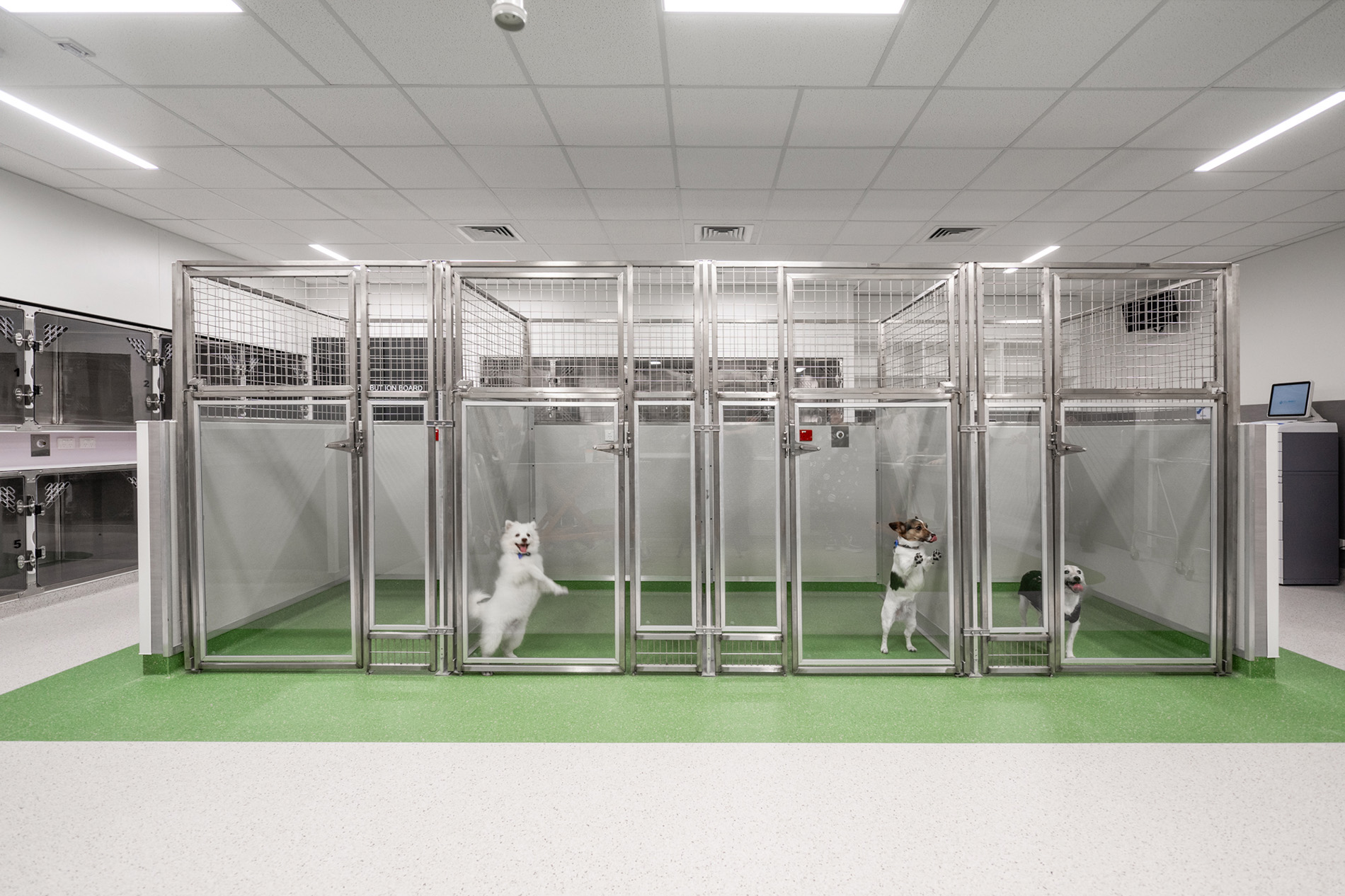 Lort Smith Animal Hospital - North Melbourne | Bldg Eng