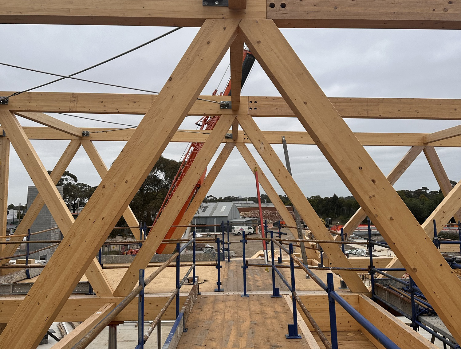 Breaking ground on innovation: timber walking platform unveiled at ...