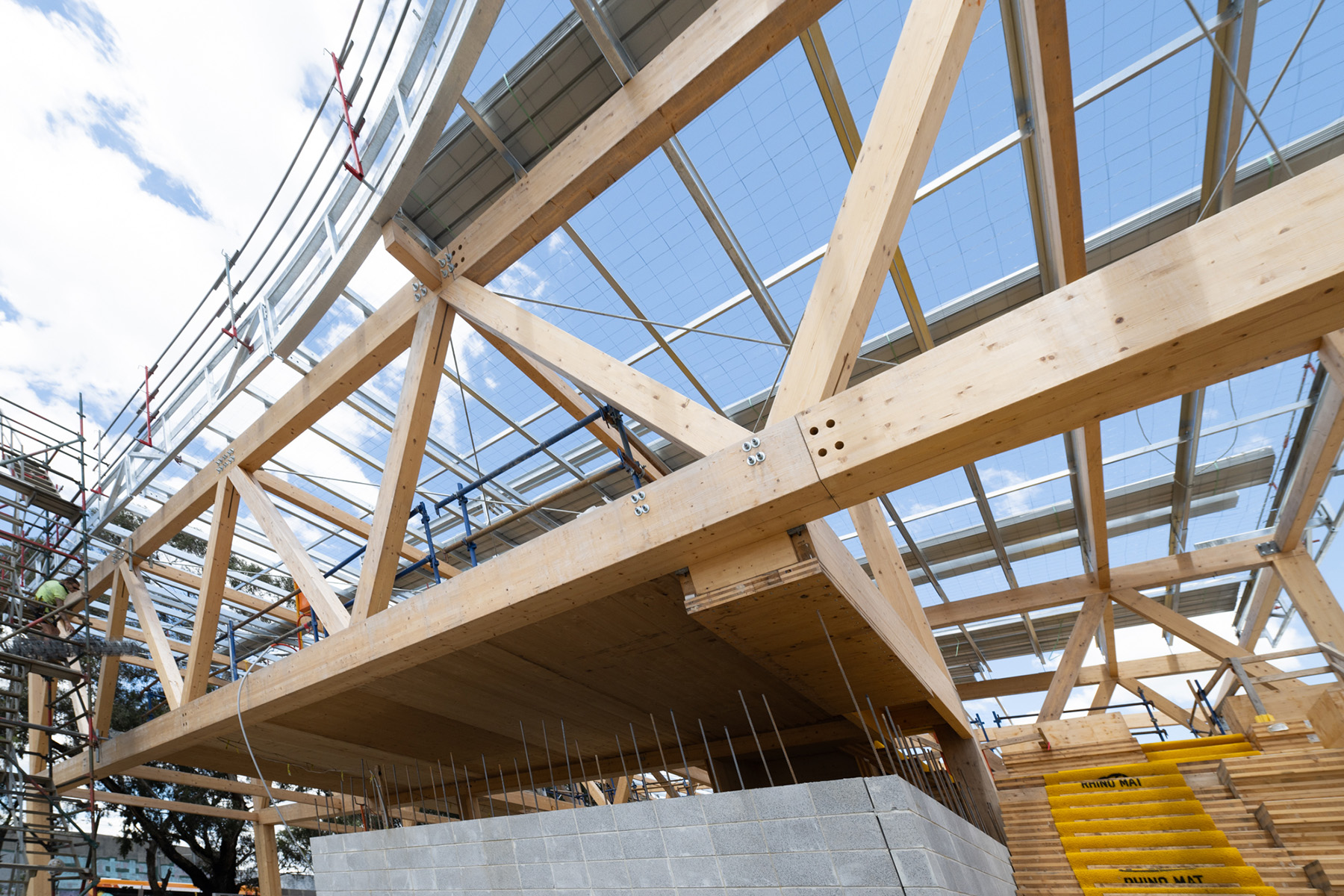 Breaking ground on innovation: timber walking platform unveiled at ...