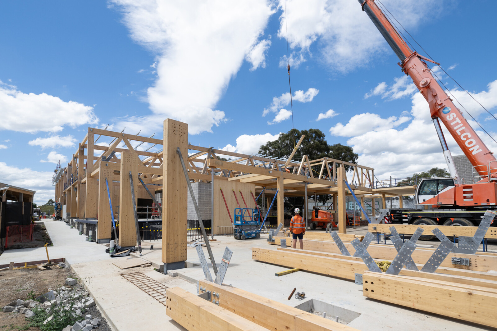 Breaking ground on innovation: timber walking platform unveiled at ...